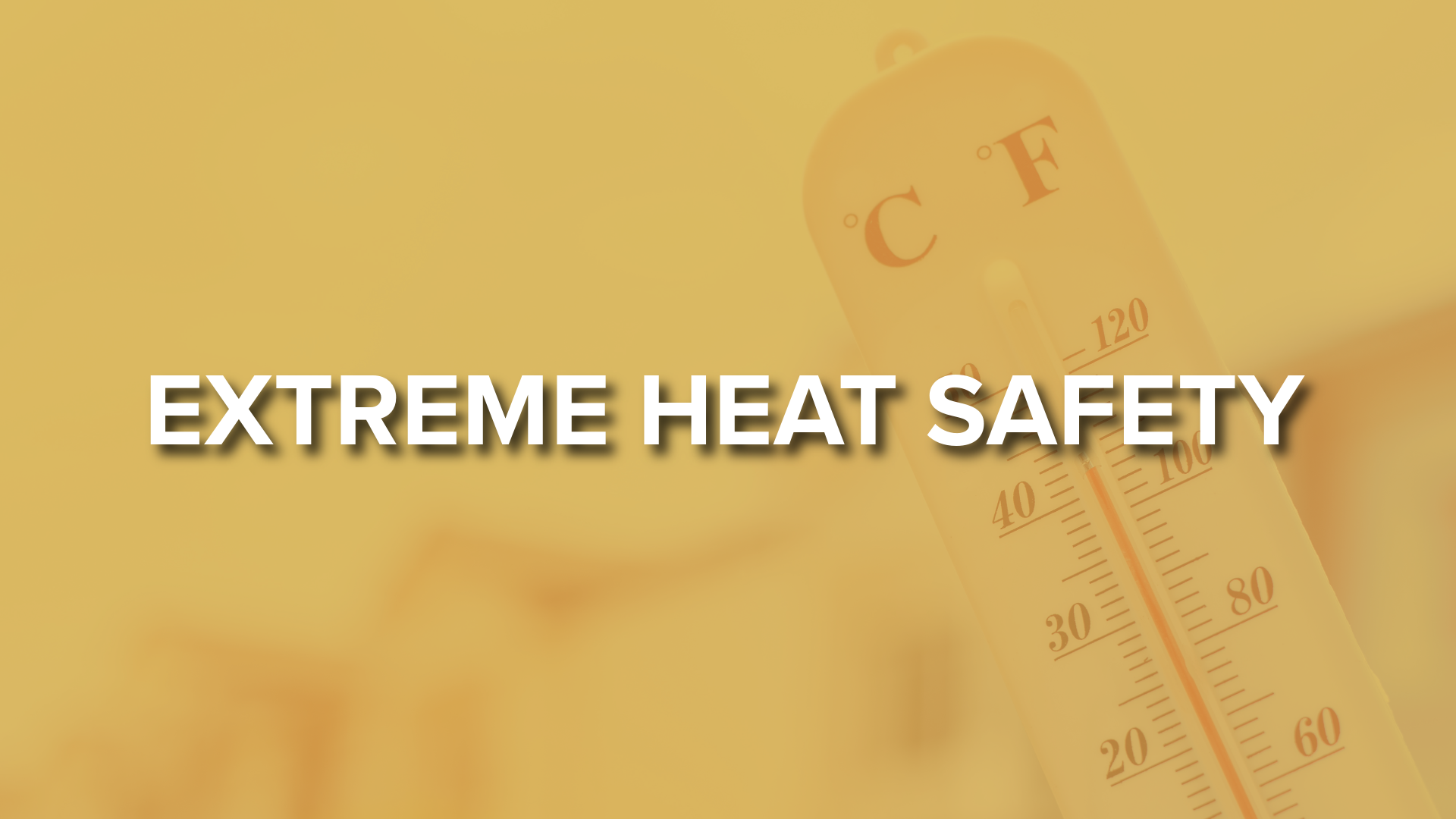 Keep Cool and Safe During Extreme Heat | Office of Emergency Management