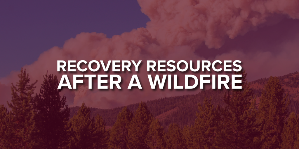 Recovery Resources After a Wildfire | Office of Emergency Management